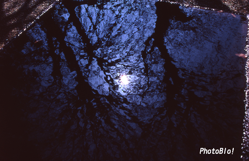 PhotoBlo!:Mamiya C330