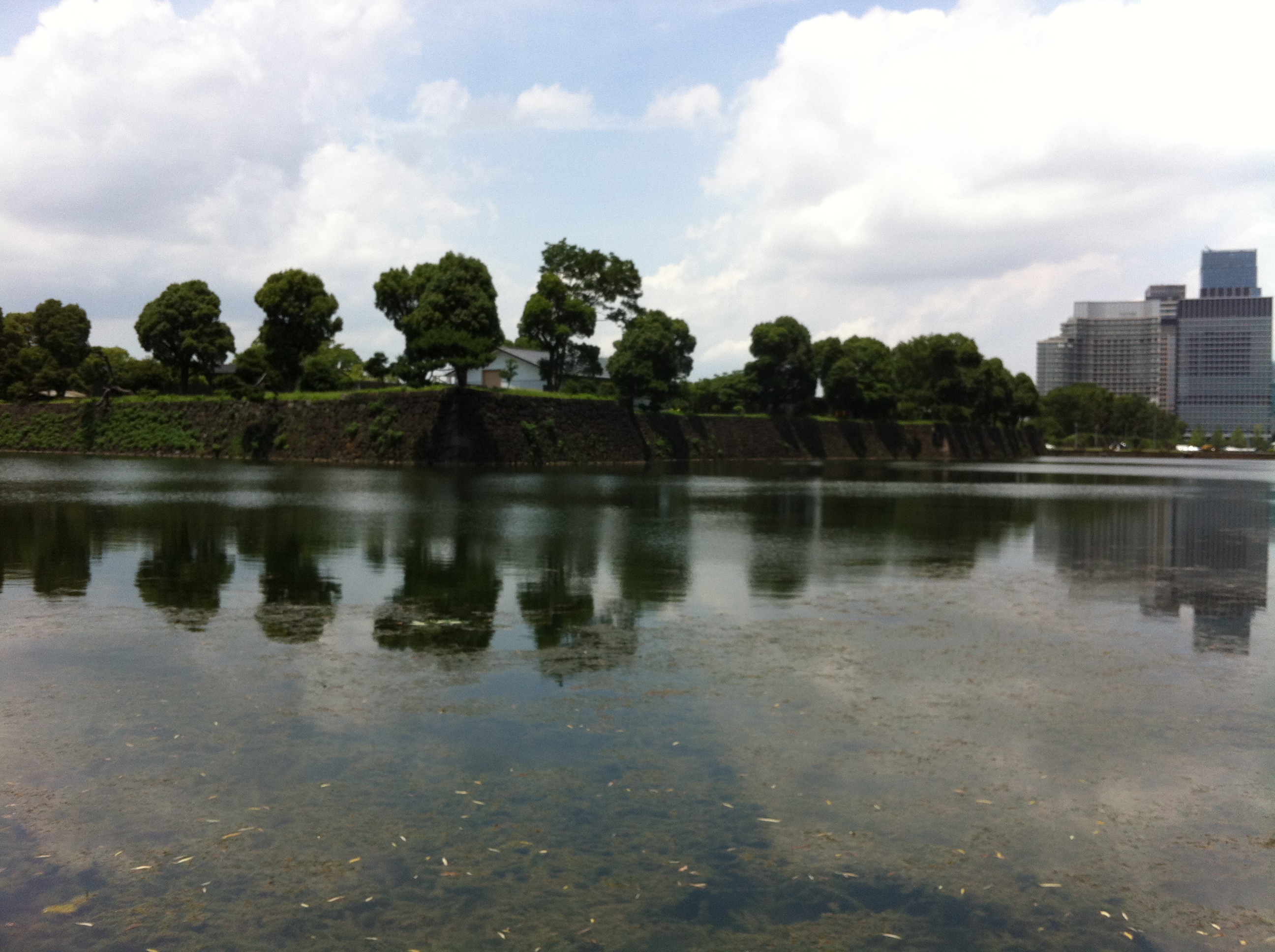 これで見納め？日比谷公園再々来訪 : スライド・バラダイス／RY COODER大研究！