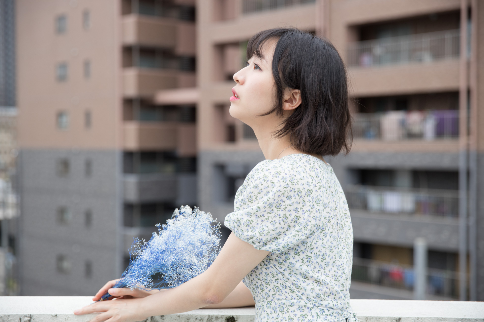 miya photo album