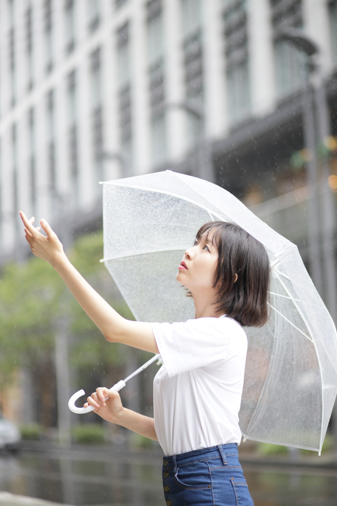 miya photo album