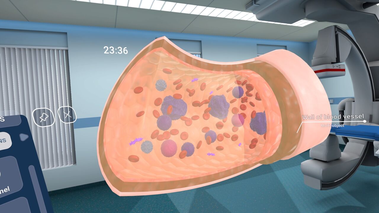 [PSVR2] Human Anatomy VR のレビュー : ぷすぶる2