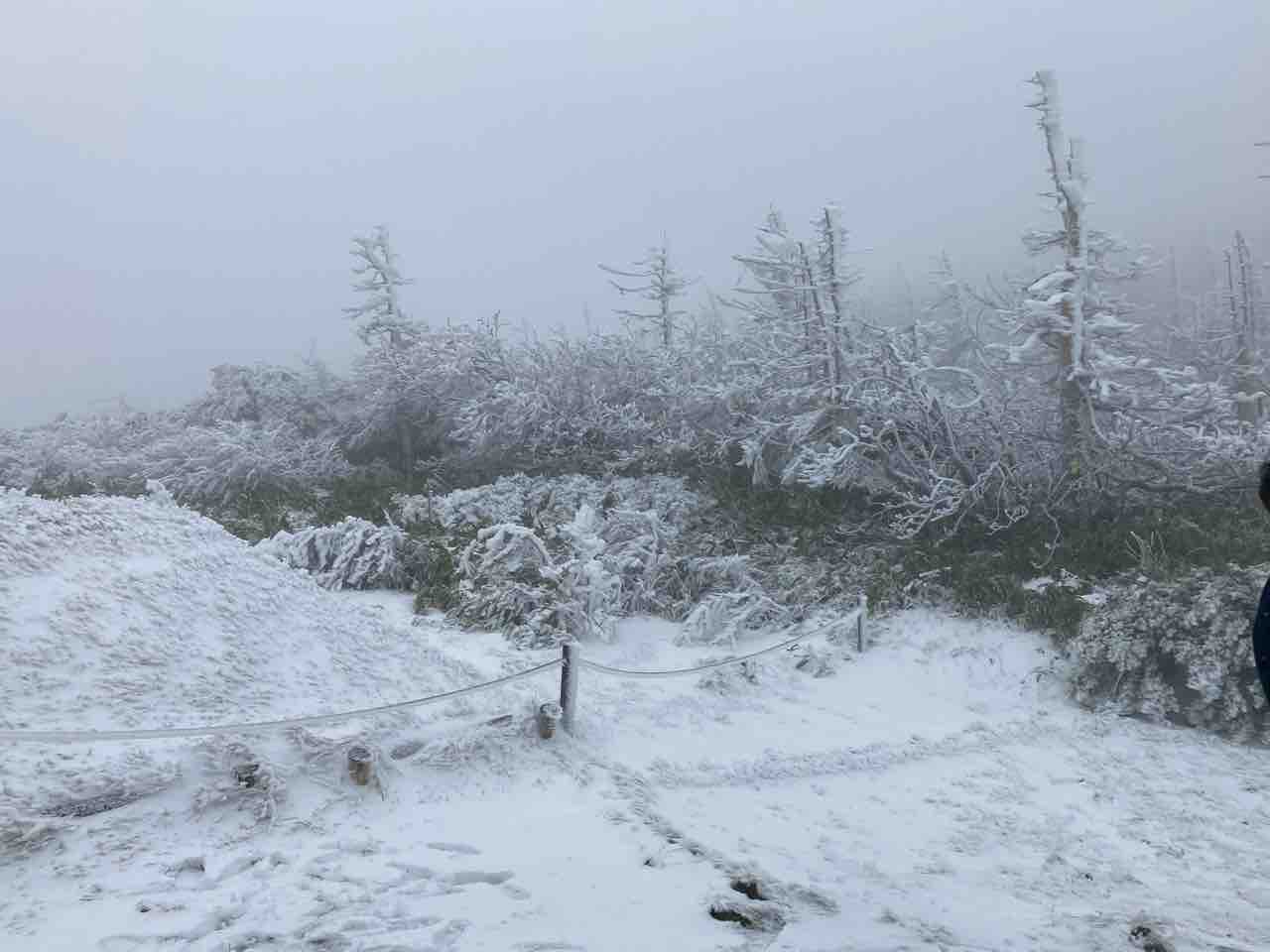 モンシェリ : 2022/10/25 蔵王