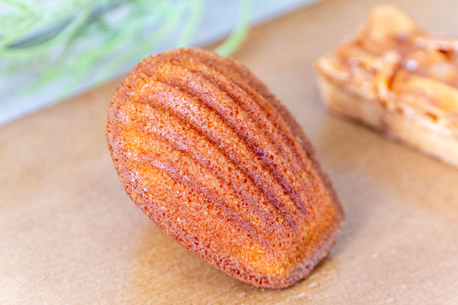 「BAKE SHOP DOUDOU」の『紅茶シュークリーム』など（高槻市城南町）【たかつーグルメ】 : 高槻つーしん