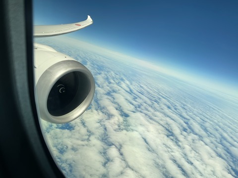 ANA NH126便 ロサンジェルス行き : OldNew