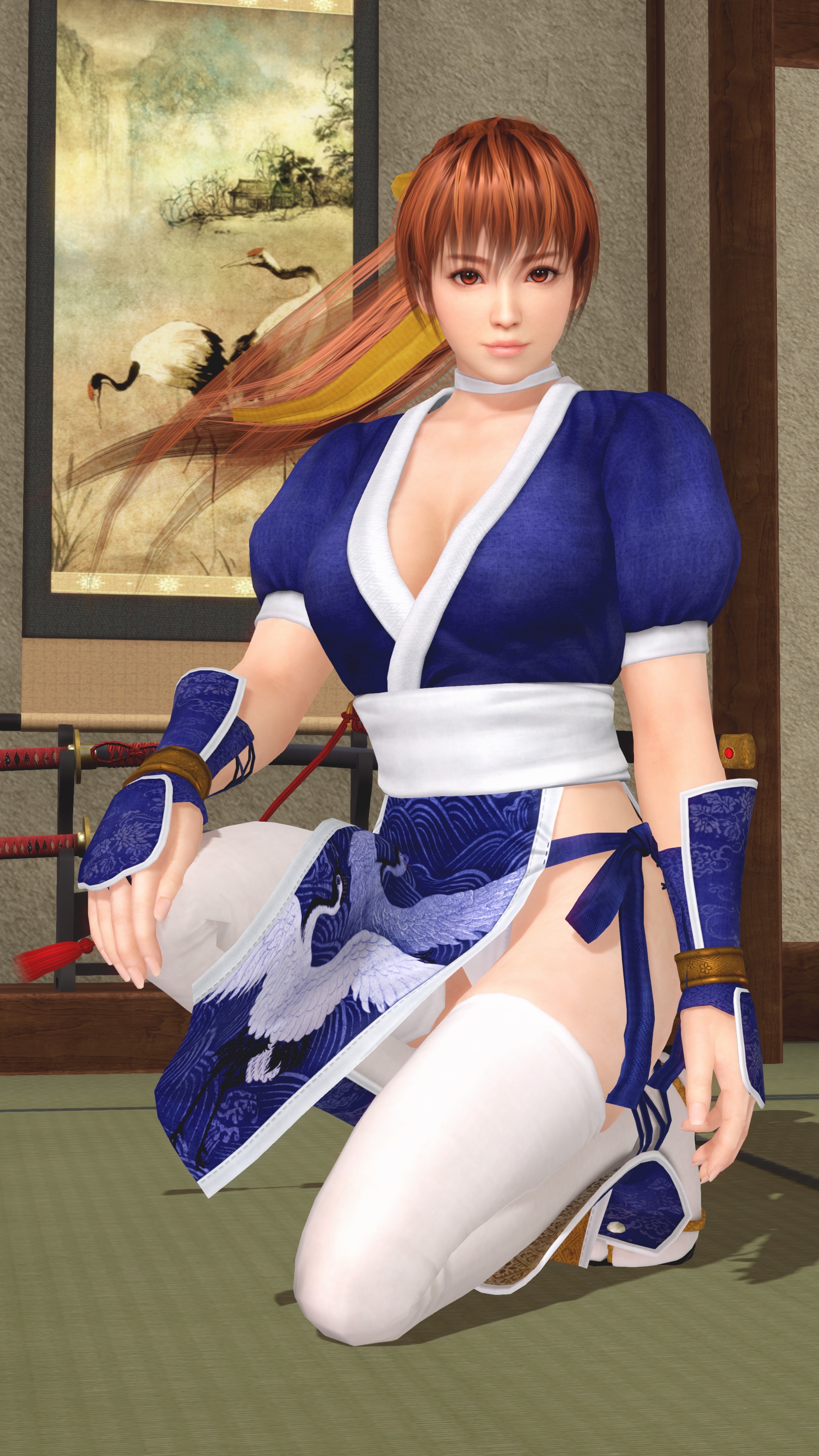 伝統的くノ一装束（党首一族専用） : Studio Lapis Blue -DOAかすみフォトブログ-