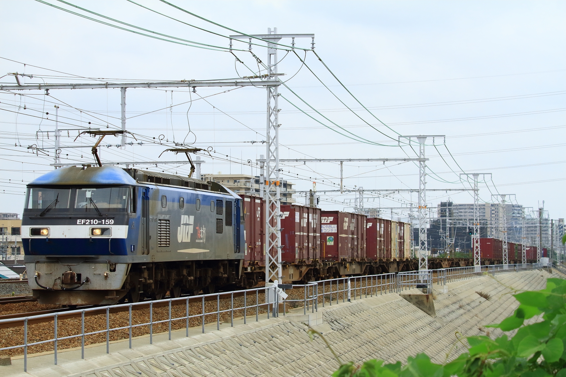 Msykの業務（鉄道）日誌:EF210カモレを見る～その137