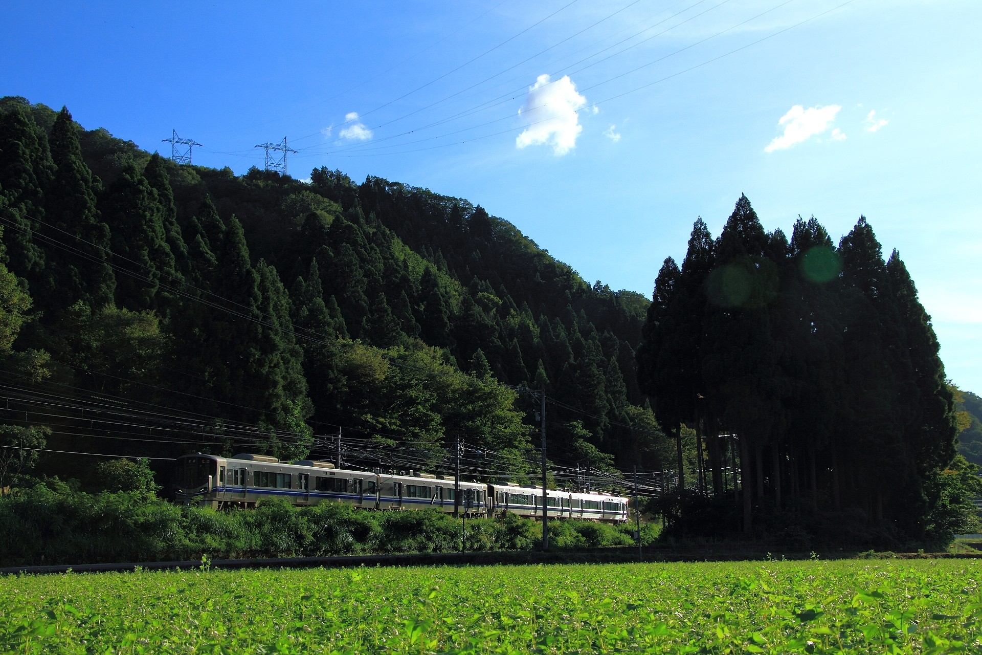 Msykの業務（鉄道）日誌:南今庄にて521系も