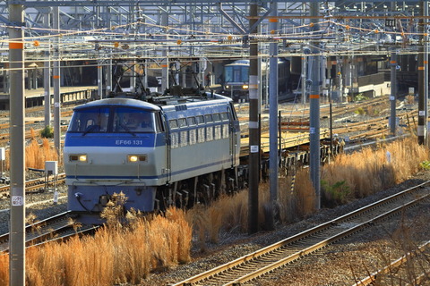 Msykの業務（鉄道）日誌:EF66カモレを見る～その314