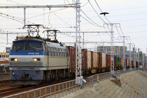 Msykの業務（鉄道）日誌:EF66カモレを見る～その283