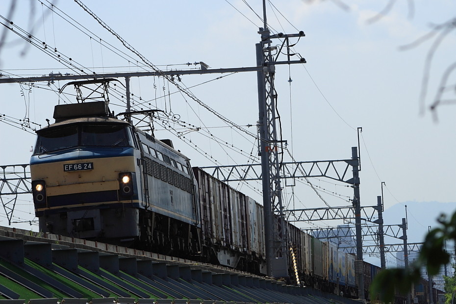 Msykの業務（鉄道）日誌:EF66カモレを見る～その60