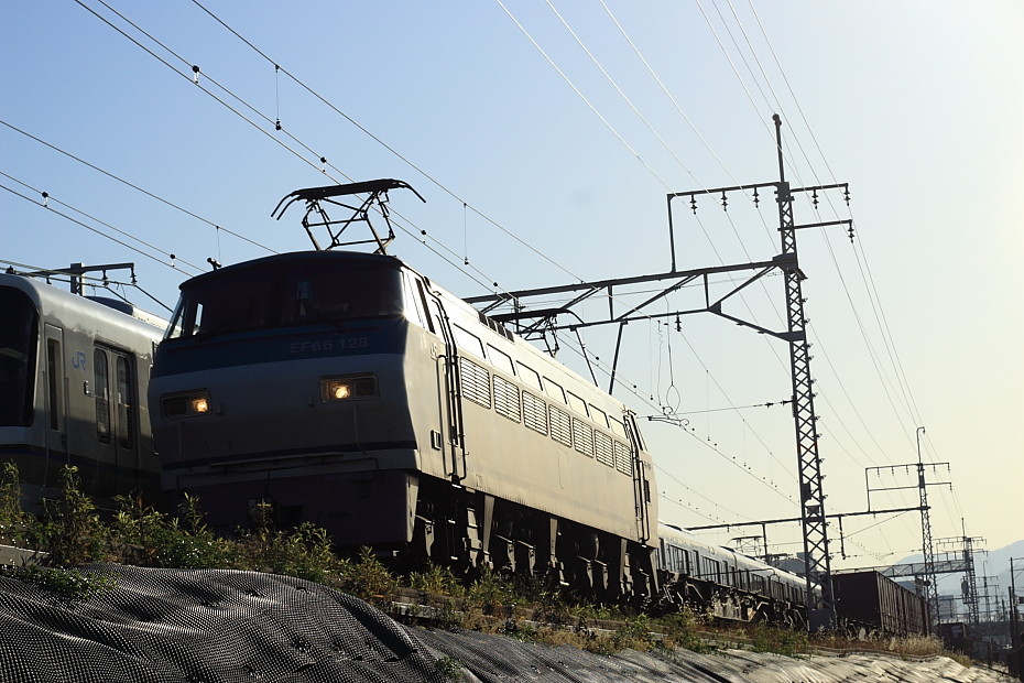 Msykの業務（鉄道）日誌:EF66カモレを見る～その61