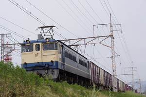 Msykの業務（鉄道）日誌:EF65カモレを見る～その40