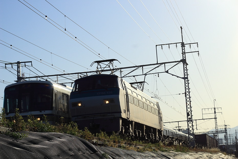 Msykの業務（鉄道）日誌:EF66カモレを見る～その61