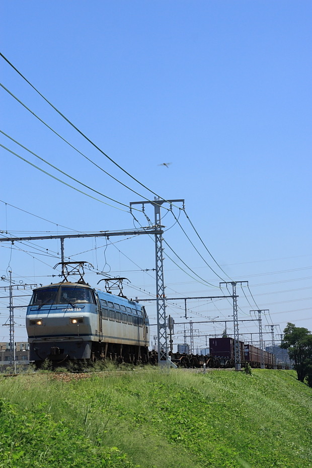 Msykの業務（鉄道）日誌:EF66カモレを見る～その72