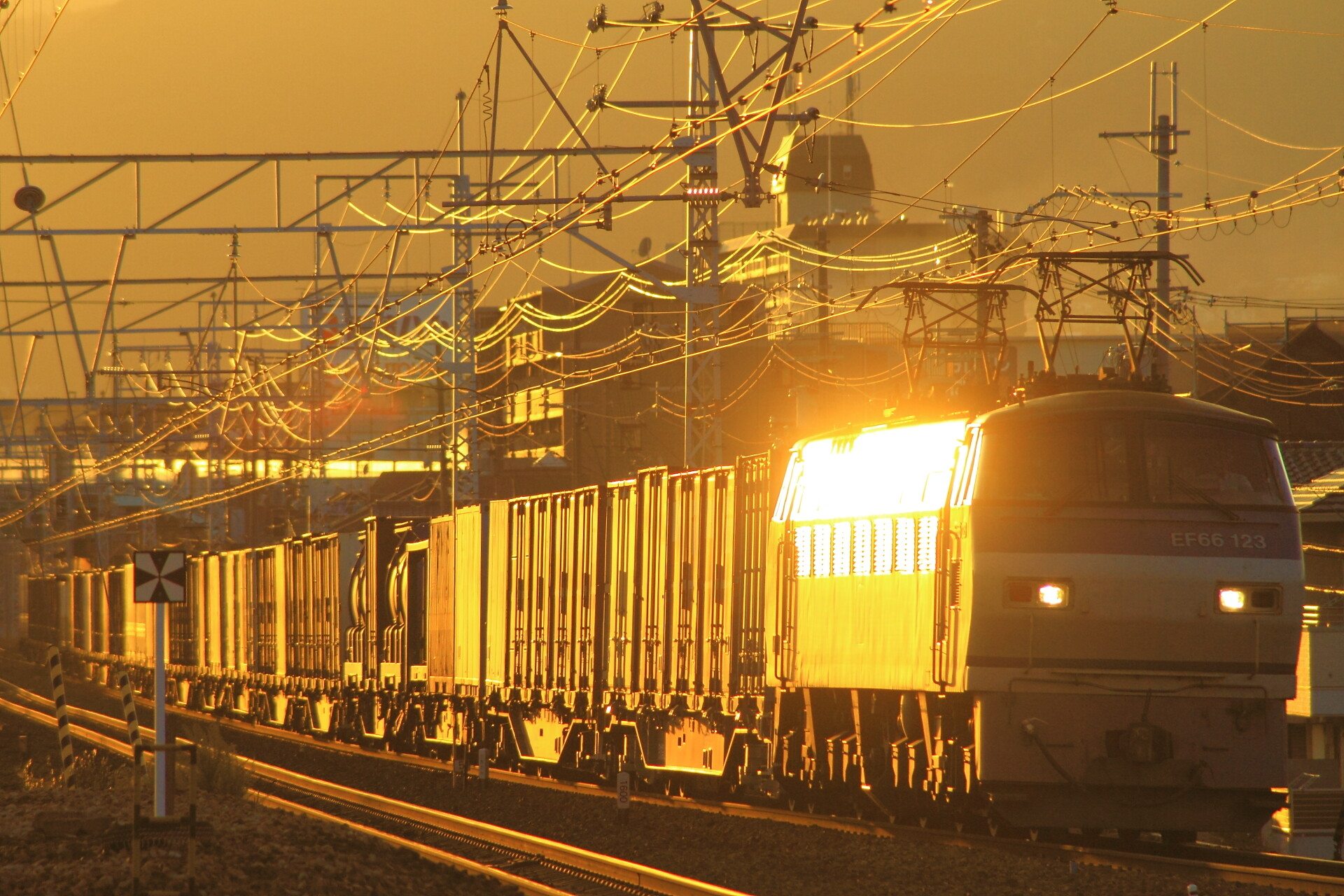 Msykの業務（鉄道）日誌:EF66カモレを見る～その204