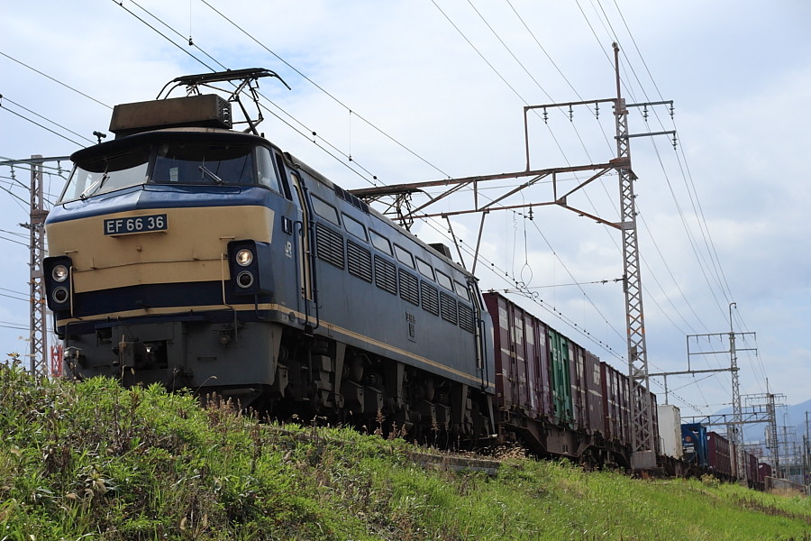 Msykの業務（鉄道）日誌:EF66カモレを見る～その31