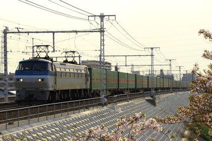 Msykの業務（鉄道）日誌:EF66カモレを見る～その171