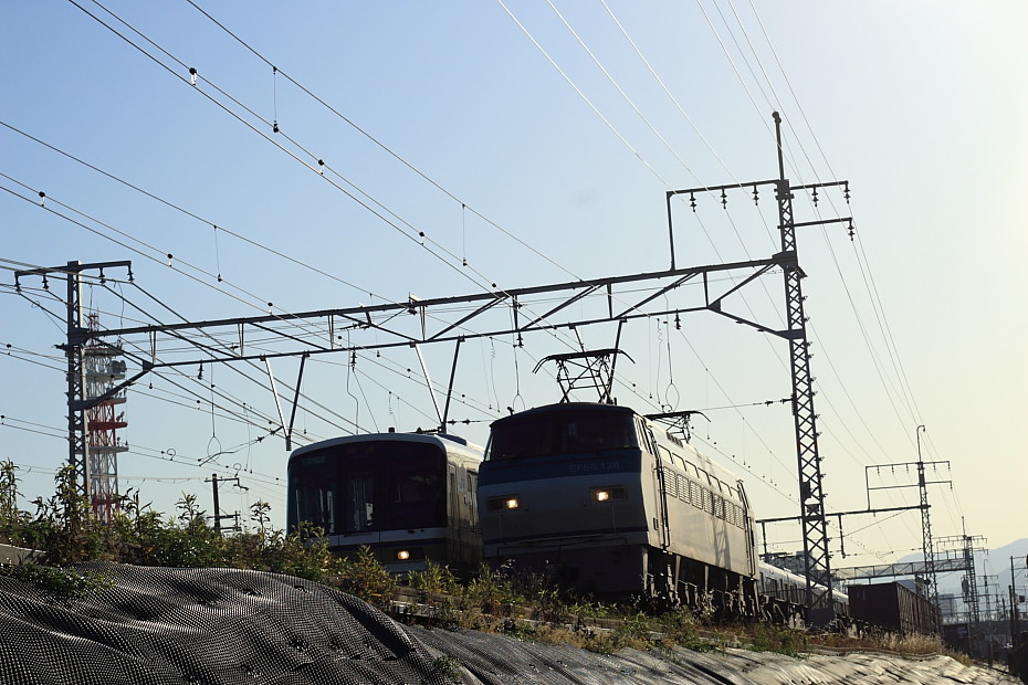 Msykの業務（鉄道）日誌:EF66カモレを見る～その61