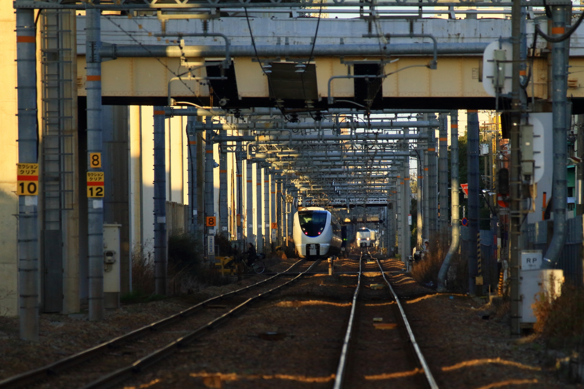 Msykの業務（鉄道）日誌:681・683系「サンダーバード」を見る～流線型車を
