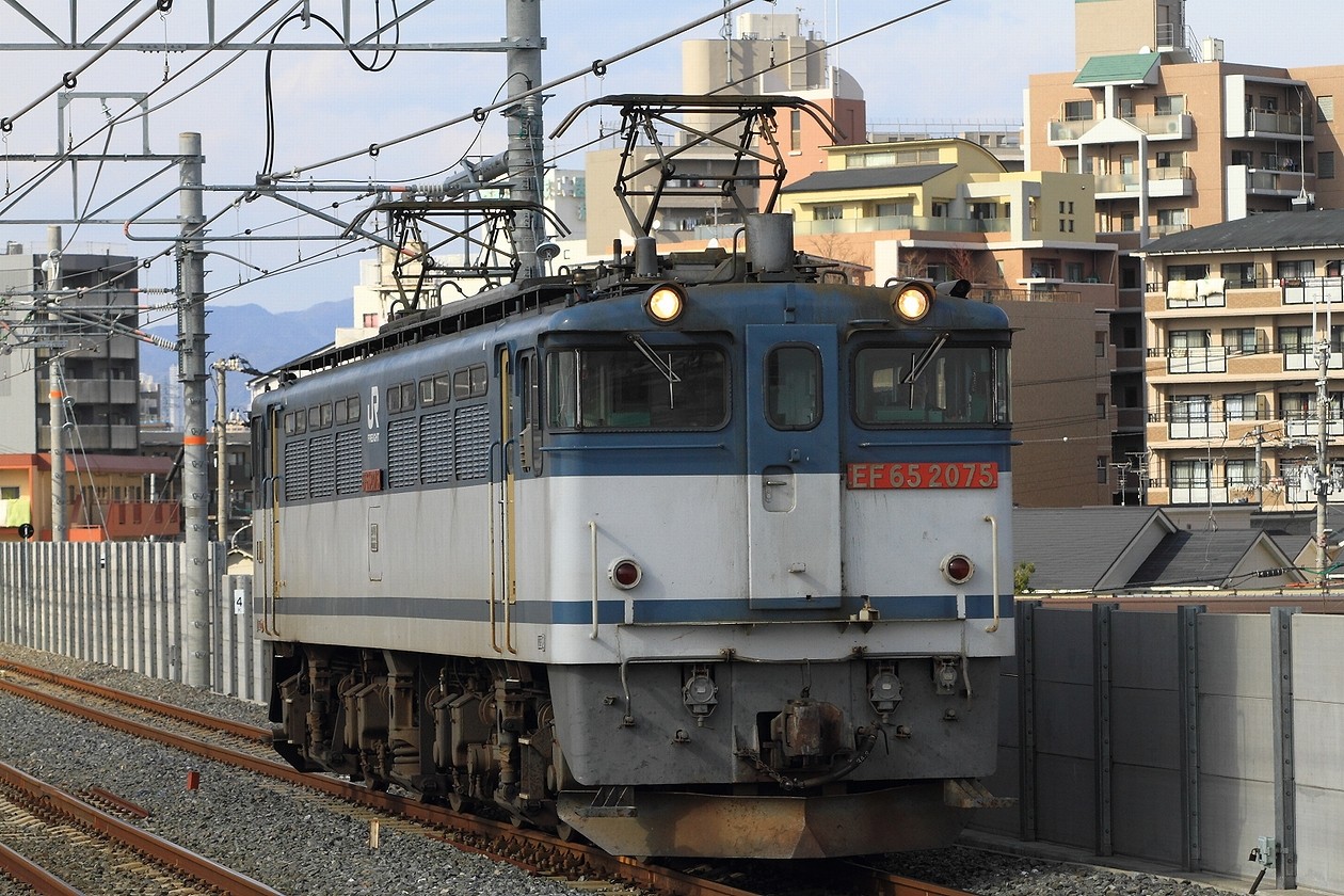 Msykの業務（鉄道）日誌:EF65カモレを見る~その201