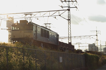 Msykの業務（鉄道）日誌:EF64カモレを見る～その7