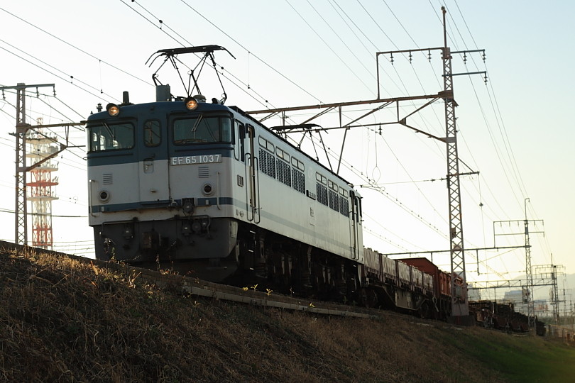 Msykの業務（鉄道）日誌:EF65カモレを見る～その57