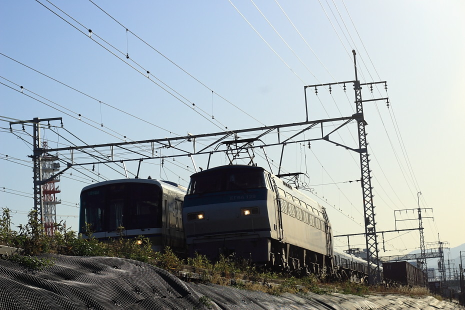 Msykの業務（鉄道）日誌:EF66カモレを見る～その61