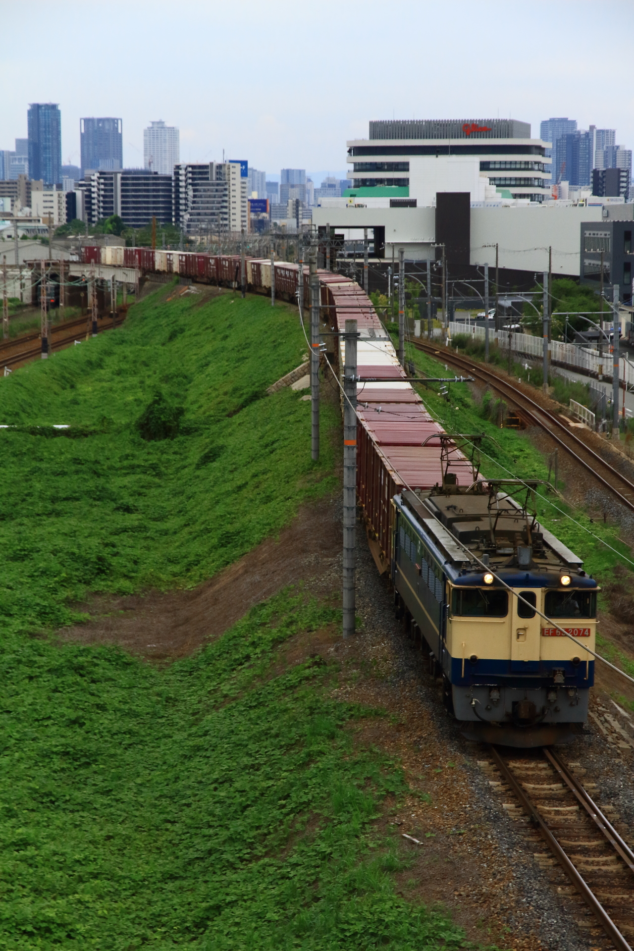Msykの業務（鉄道）日誌:EF65カモレを見る～その365