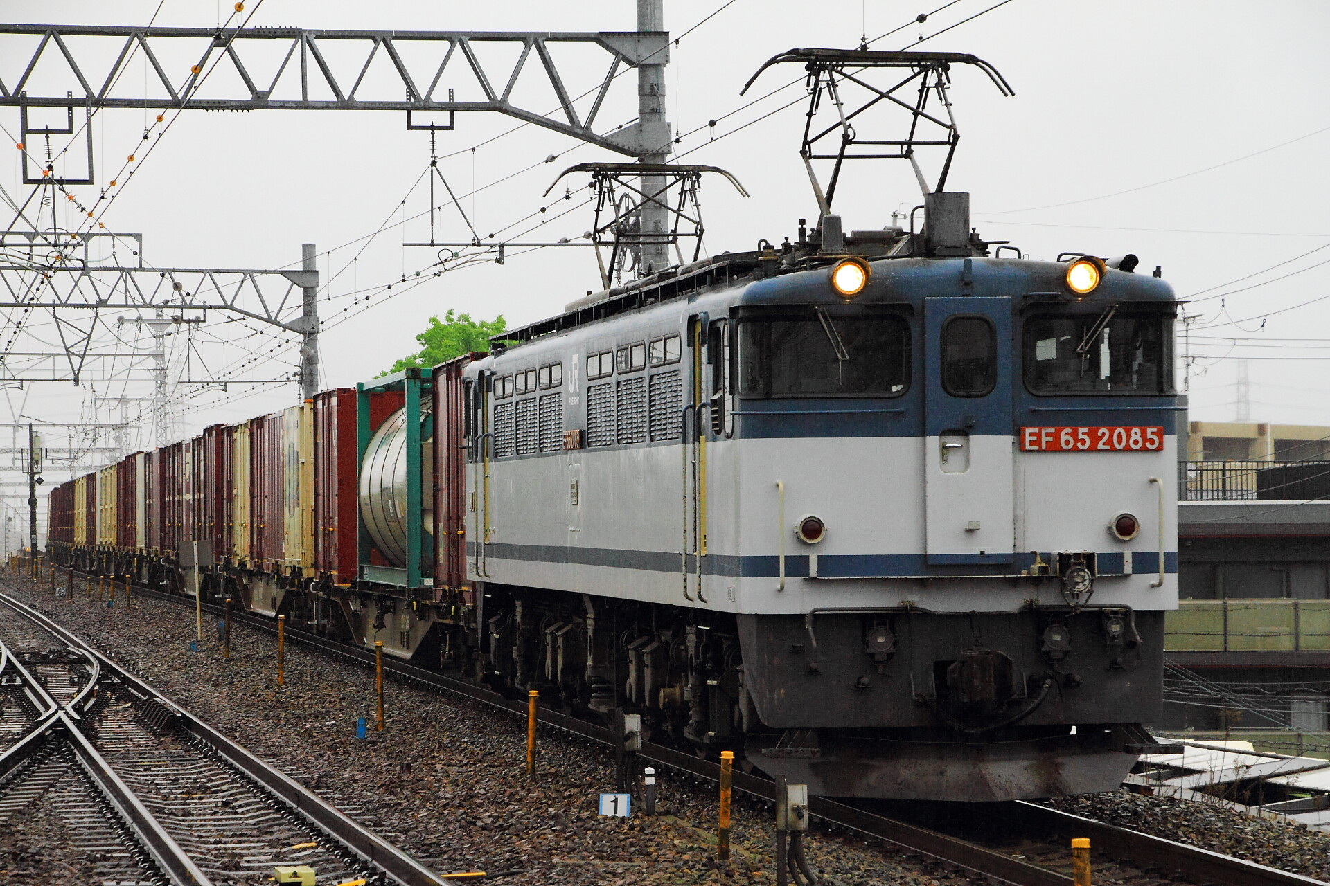 Msykの業務（鉄道）日誌:EF65カモレを見る～その222