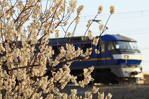 Msykの業務（鉄道）日誌:EF210カモレを見る～その133