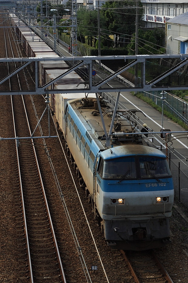 Msykの業務（鉄道）日誌:EF66カモレを見る～その77