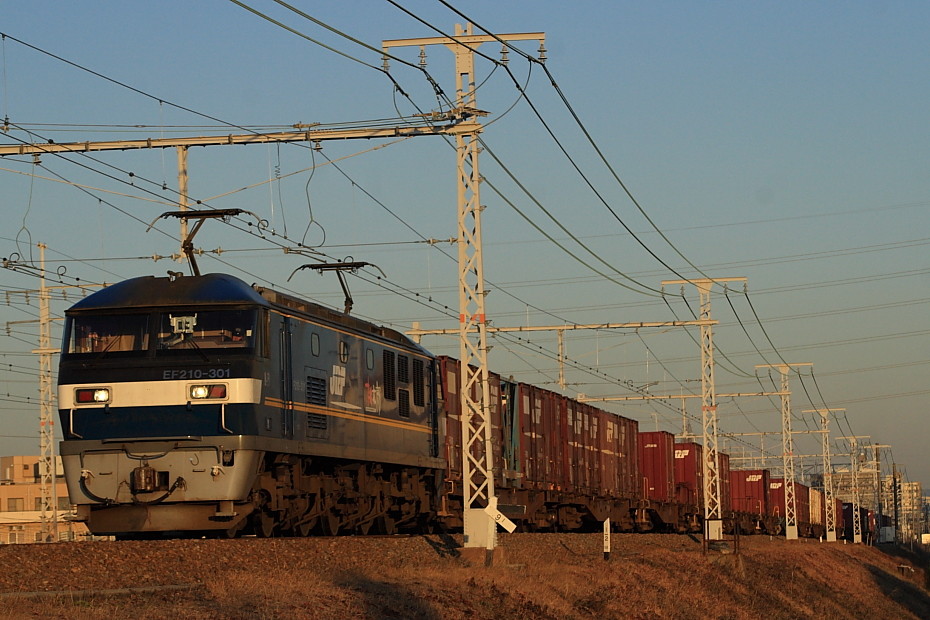 Msykの業務（鉄道）日誌:EF210カモレを見る～その42