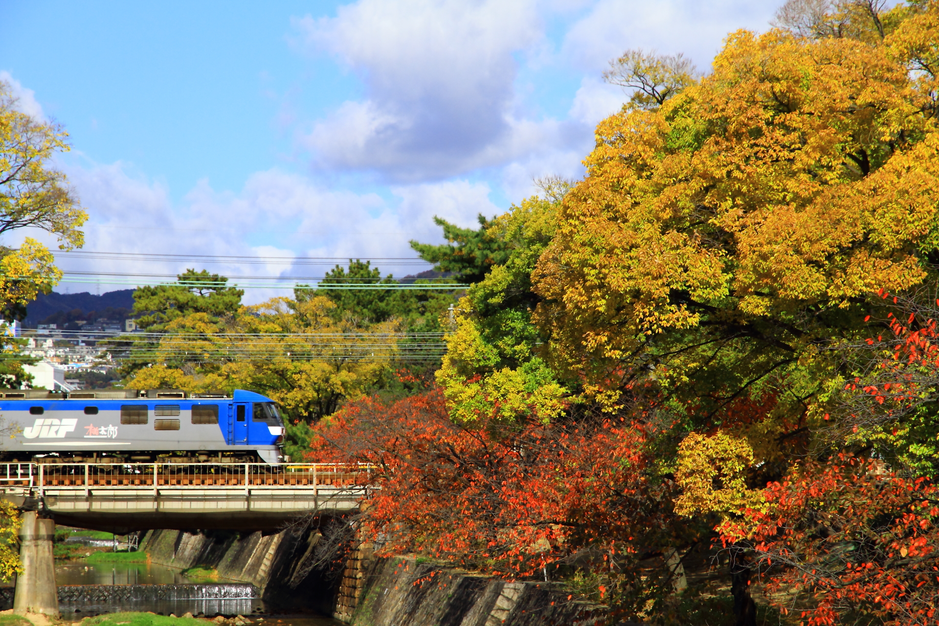 Msykの業務（鉄道）日誌:EF210カモレを見る～その99