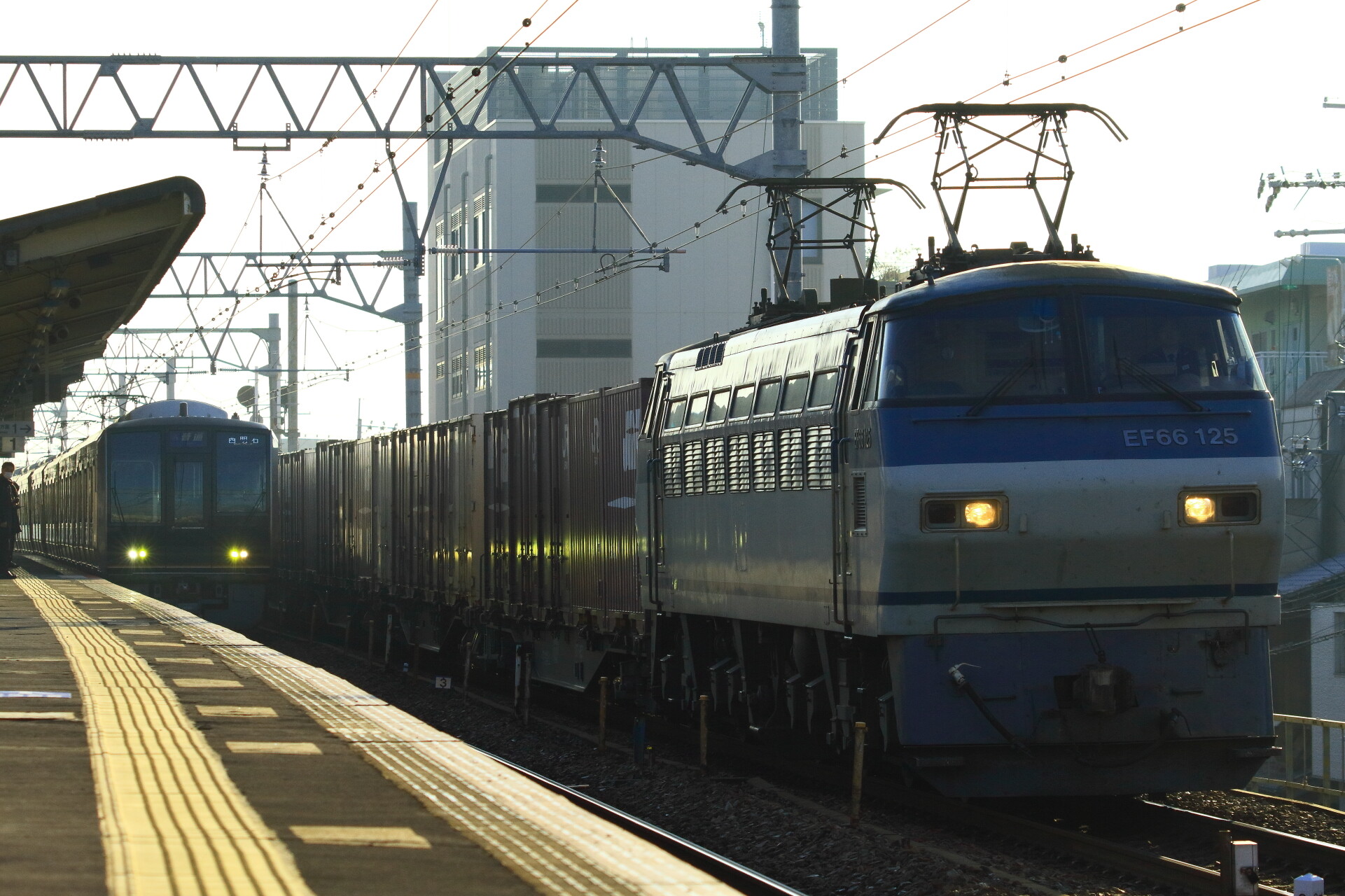 Msykの業務（鉄道）日誌:EF66カモレを見る～その251