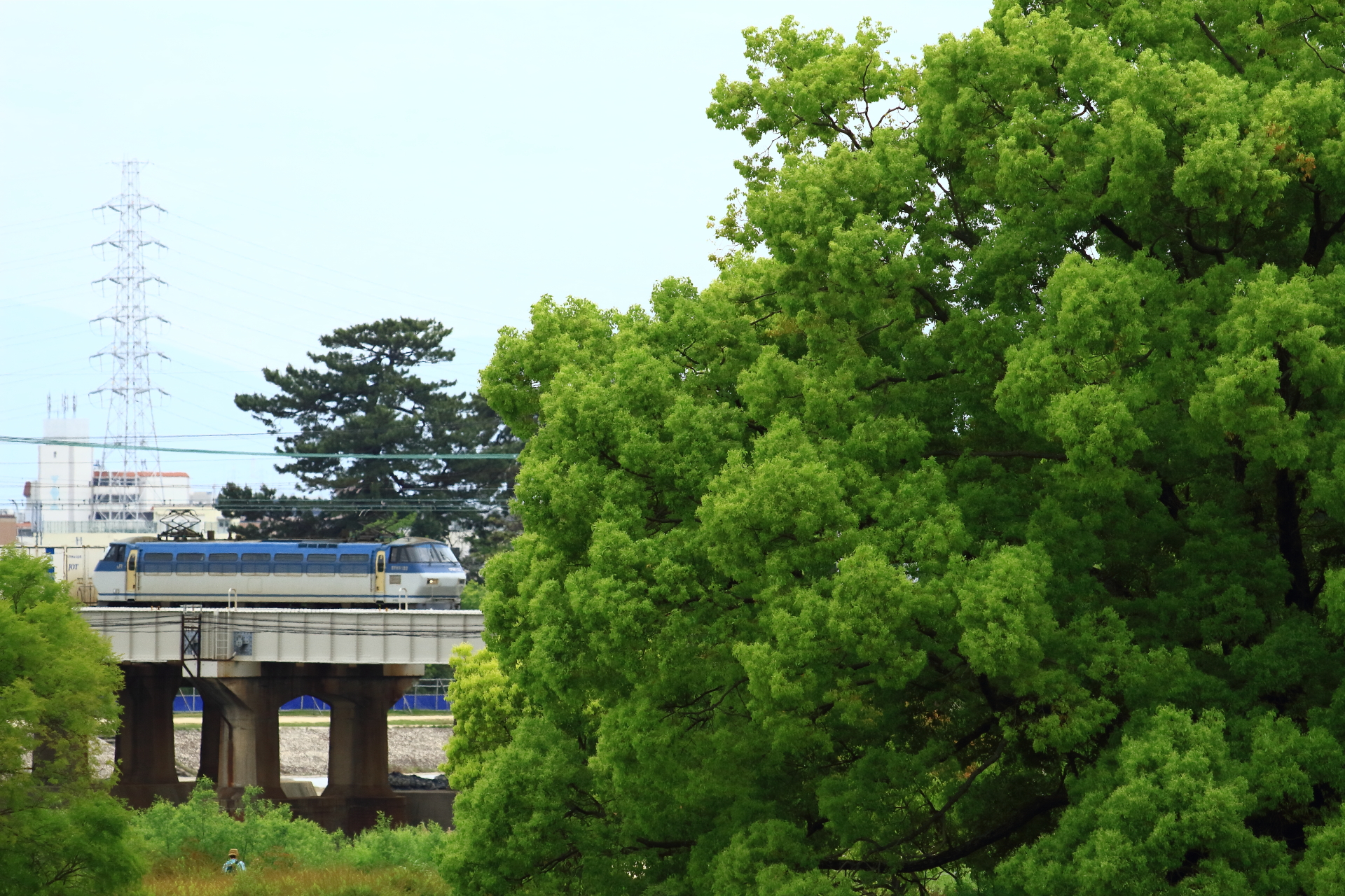 Msykの業務（鉄道）日誌:EF66カモレを見る～その269