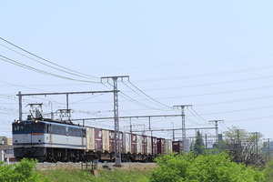 Msykの業務（鉄道）日誌:EF65カモレを見る～その66