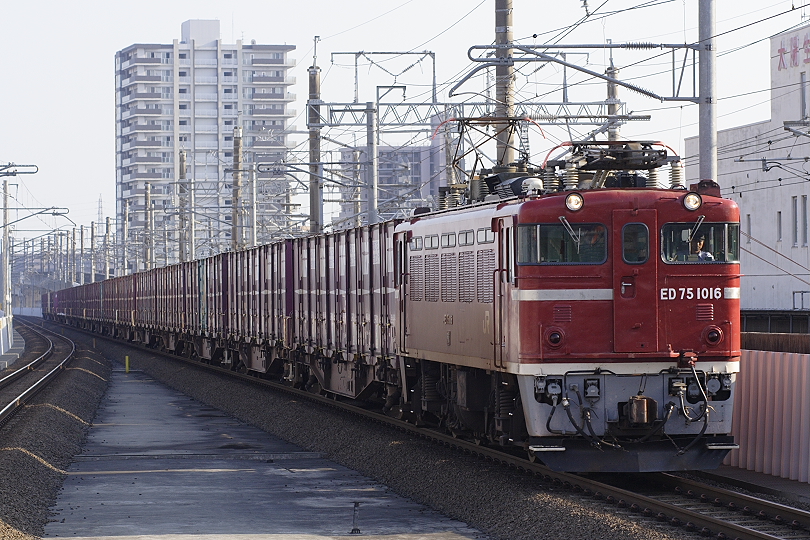 Msykの業務（鉄道）日誌:ED75カモレを見る～その2