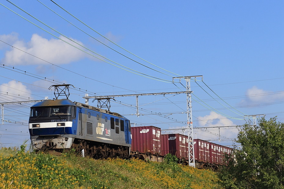 Msykの業務（鉄道）日誌:EF210カモレを見る～その18