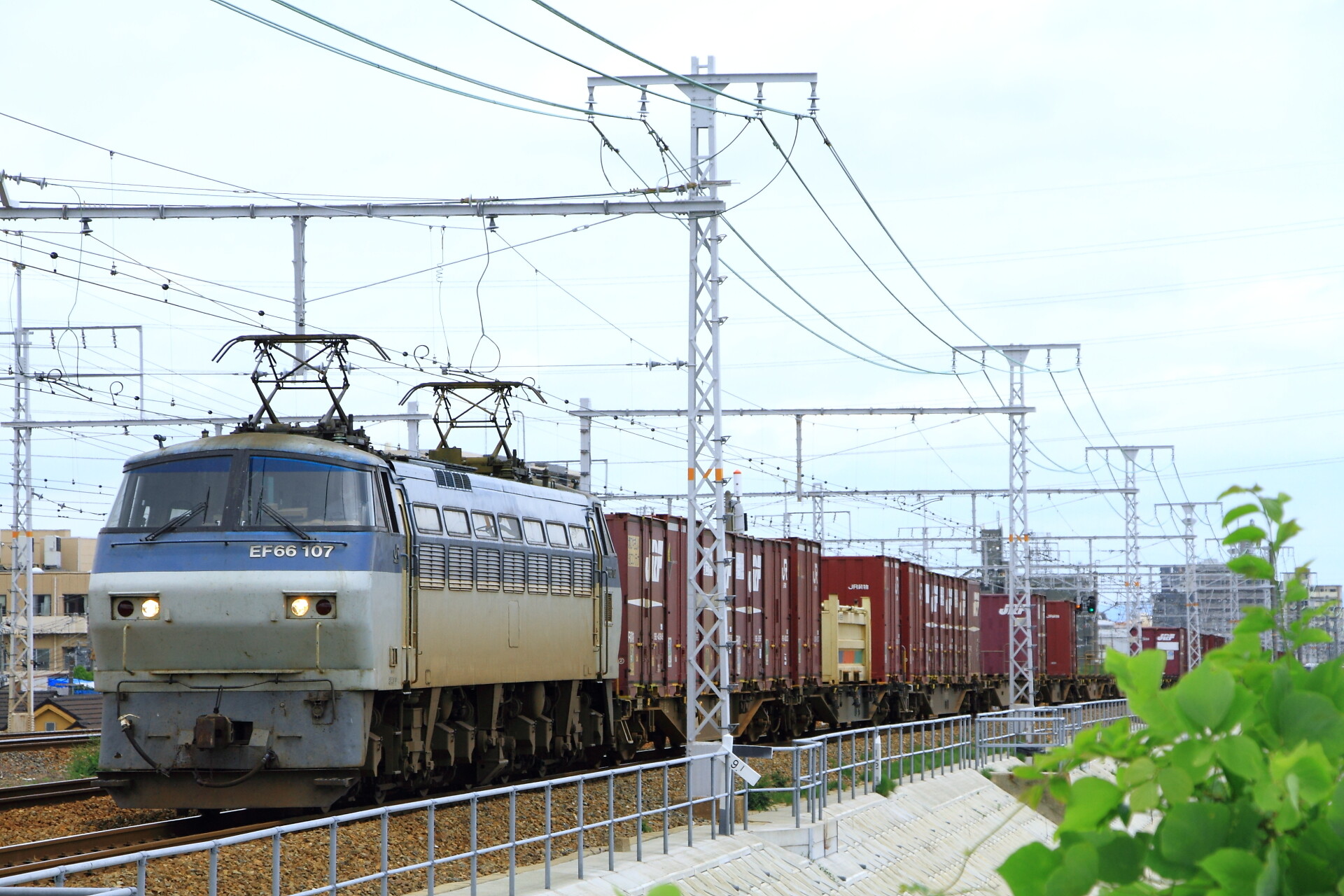 Msykの業務（鉄道）日誌:EF66カモレを見る～その186