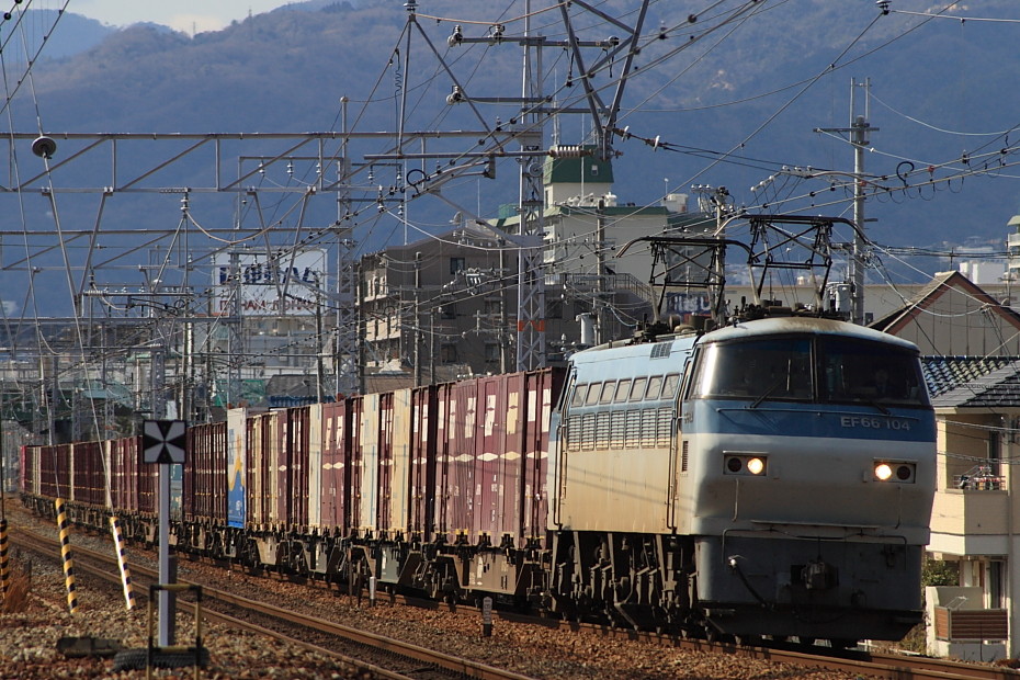 Msykの業務（鉄道）日誌:EF66カモレを見る～その119