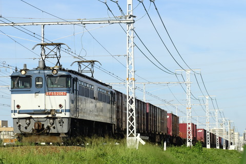 Msykの業務（鉄道）日誌:EF65カモレを見る～その131