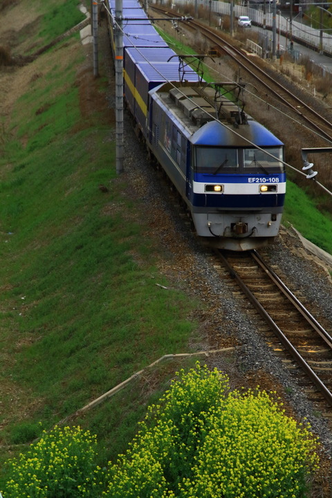 Msykの業務（鉄道）日誌:EF210カモレを見る～その121