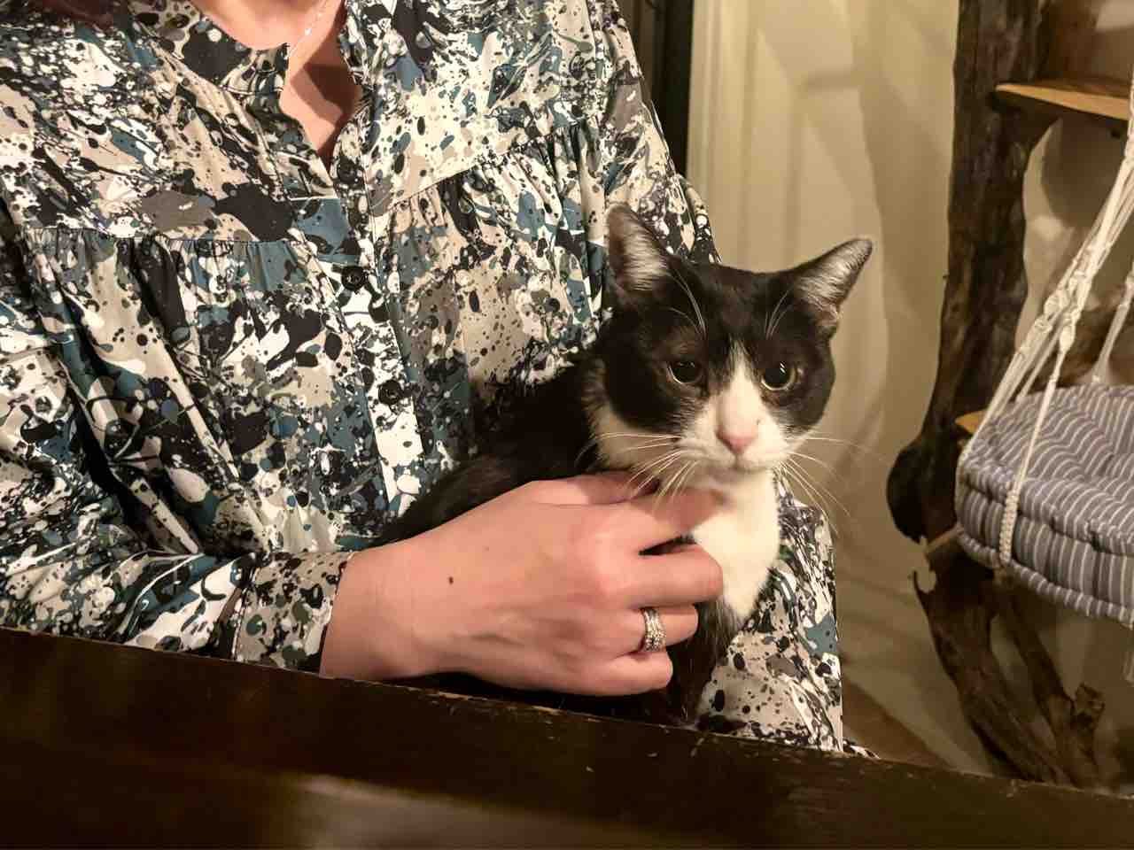 Muddy Cat 定期便 1/30〜2/3 : 海の近くに猫と住んでる