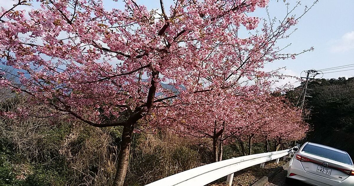 薬局でのこと : mukugeのblog