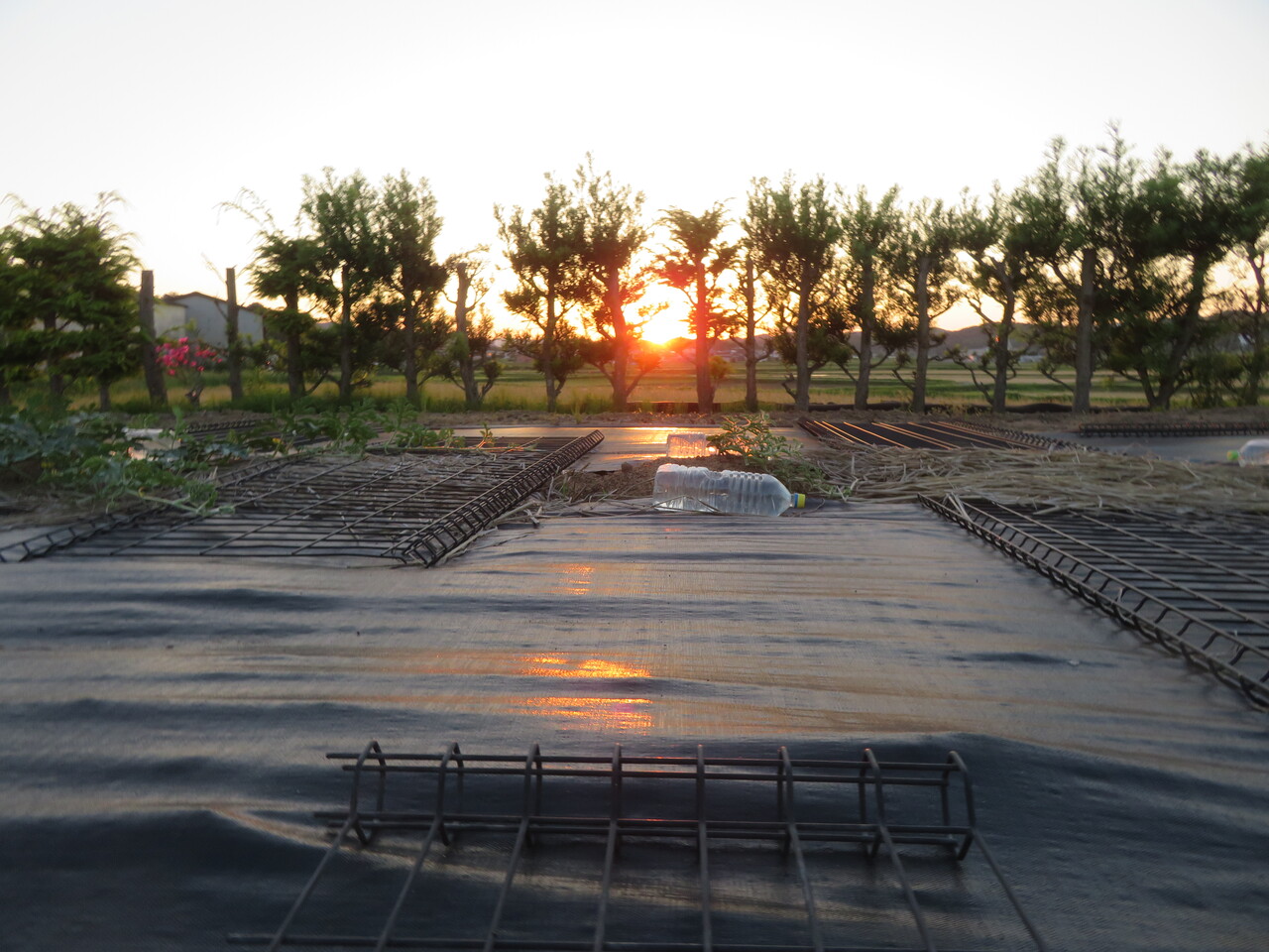 ヒントが生まれるスピリチュアルNo1ブログ:好きなことが栄養素。。 - livedoor Blog（ブログ）