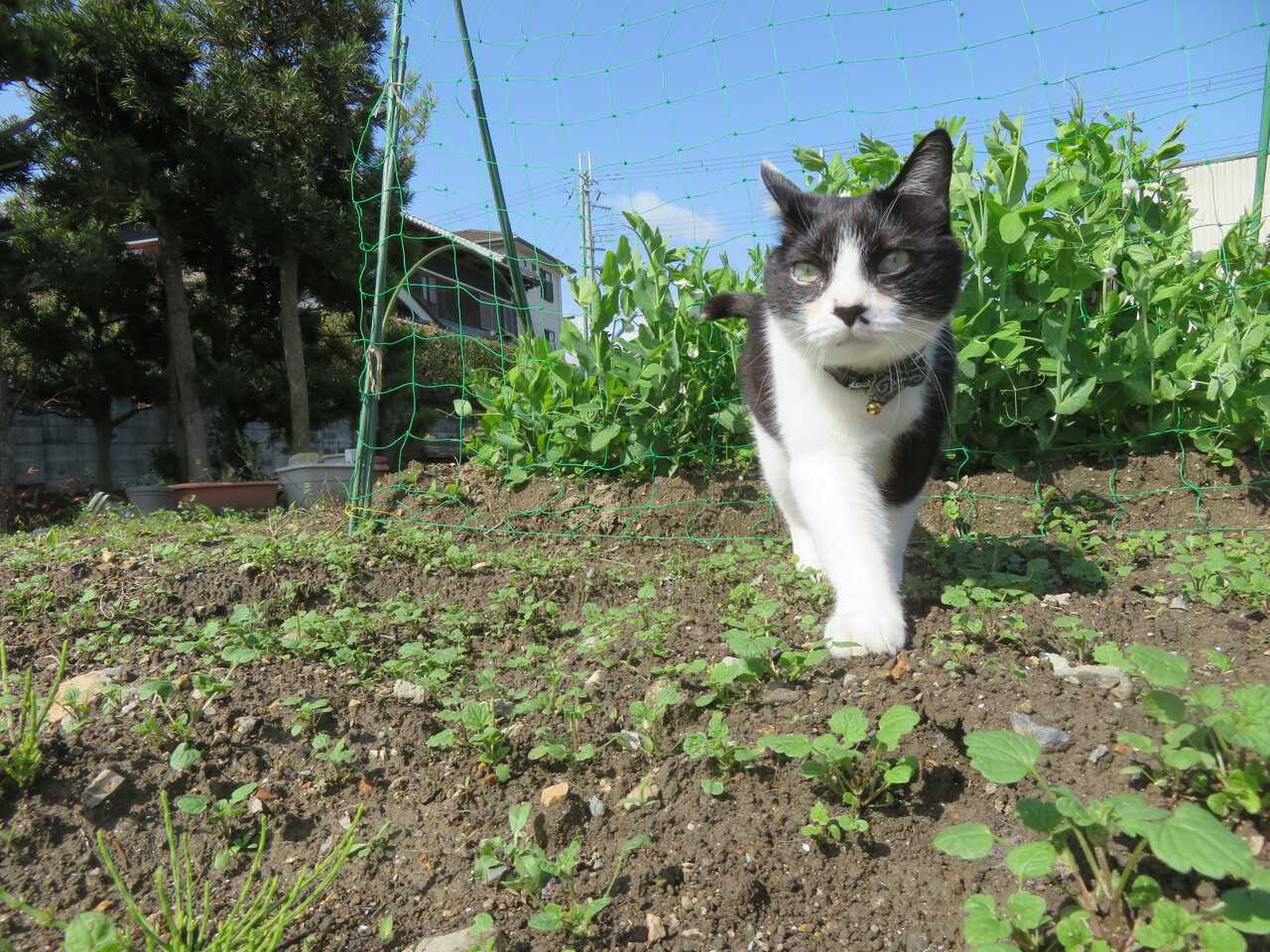 ヒントが生まれるスピリチュアルNo1ブログ:2023年04月 - livedoor Blog（ブログ）