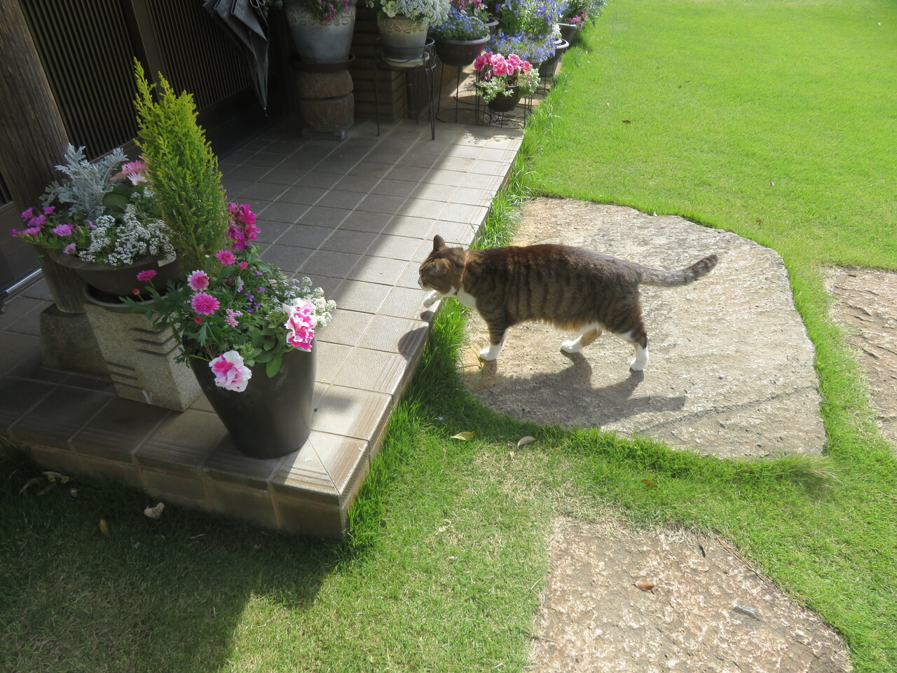 ヒントが生まれるスピリチュアルNo1ブログ:実りの夏へ向け。。 - livedoor Blog（ブログ）