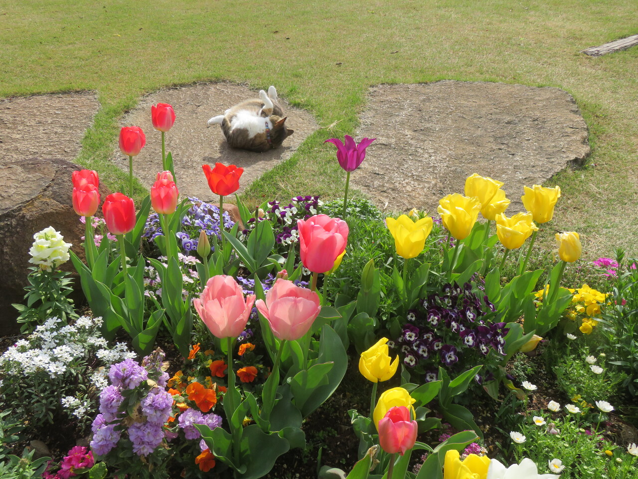 ヒントが生まれるスピリチュアルNo1ブログ:只今、微調整にて - livedoor Blog（ブログ）