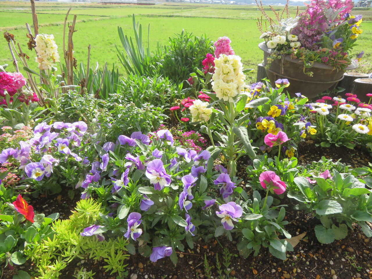 ヒントが生まれるスピリチュアルNo1ブログ:時の旅人 - livedoor Blog（ブログ）