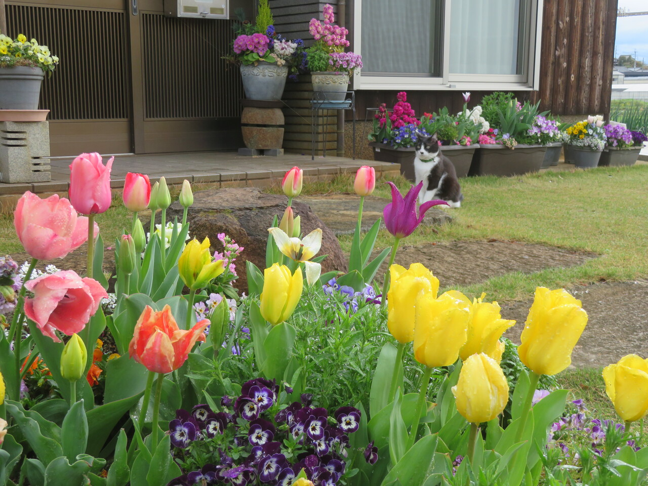 ヒントが生まれるスピリチュアルNo1ブログ:只今、微調整にて - livedoor Blog（ブログ）